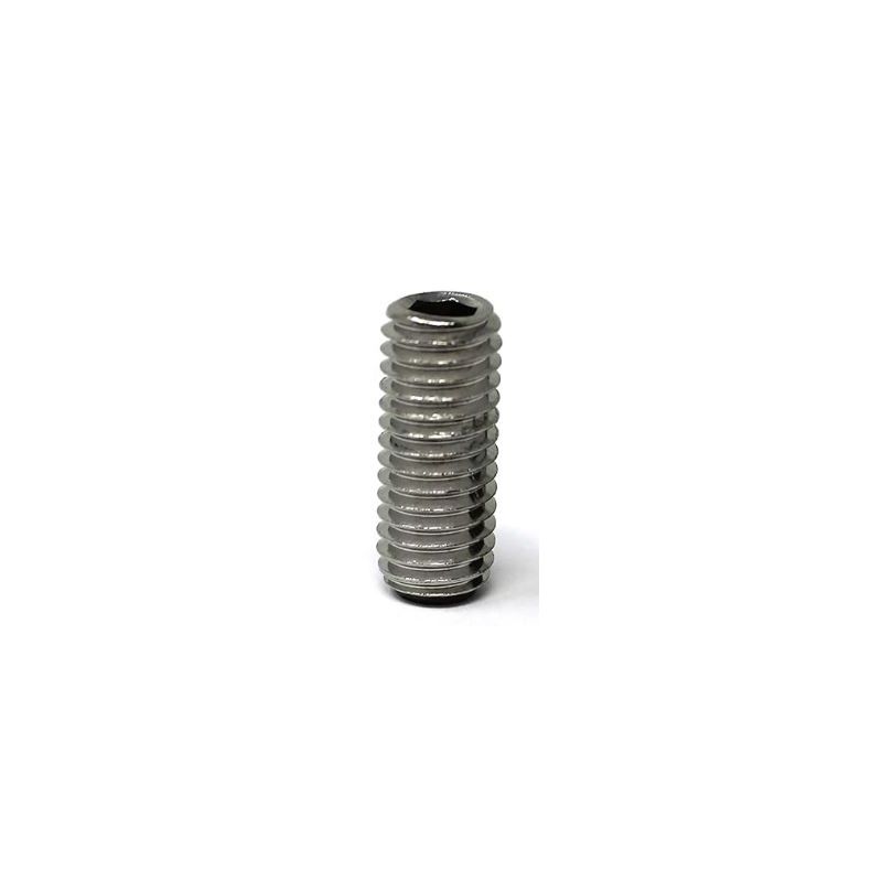 Stelschroef met binnenzeskant M8 x 100 mm RVS-304 mat geslepen