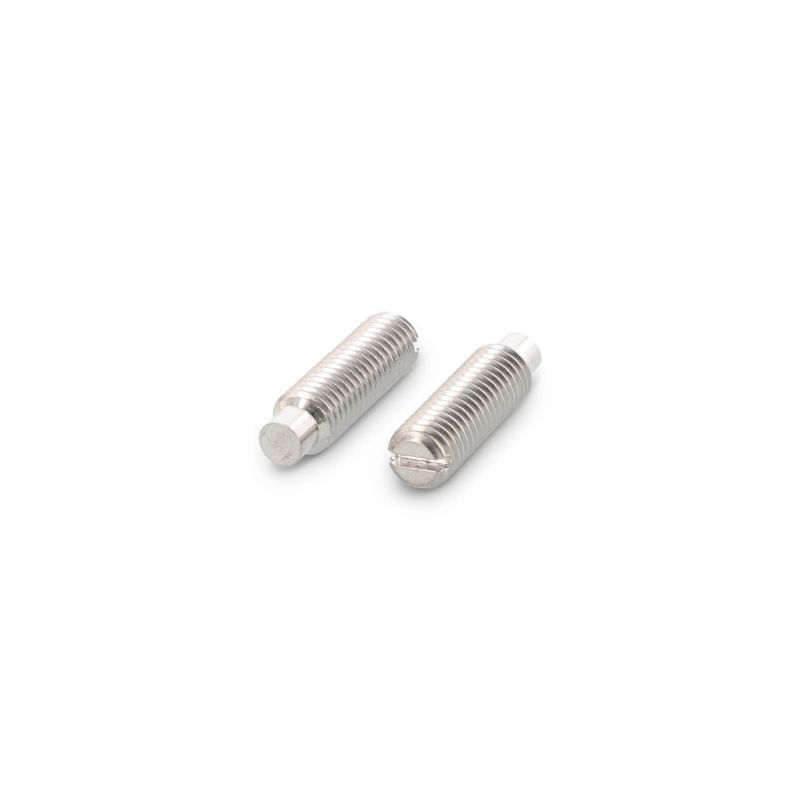 Stelschroef met sleuf en nok M8 x 8 mm DIN 417 RVS A2 (100 stuks)