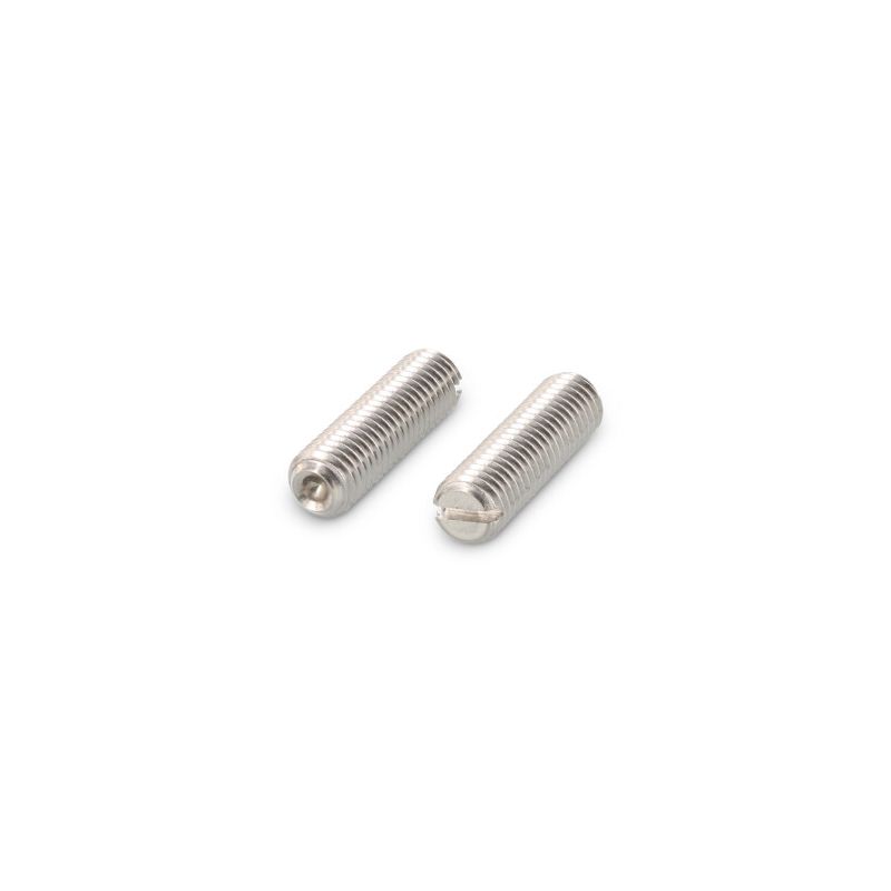 Stelschroef met sleuf en kratereind M6 x 10 mm DIN 438 RVS A2 (100 stuks)