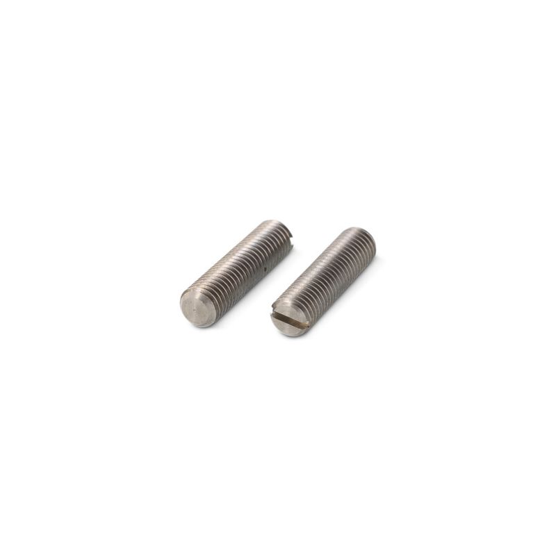 Stelschroef met sleuf en kegelvormige kop M2 x 6 mm DIN 551 RVS A2 (200 ...