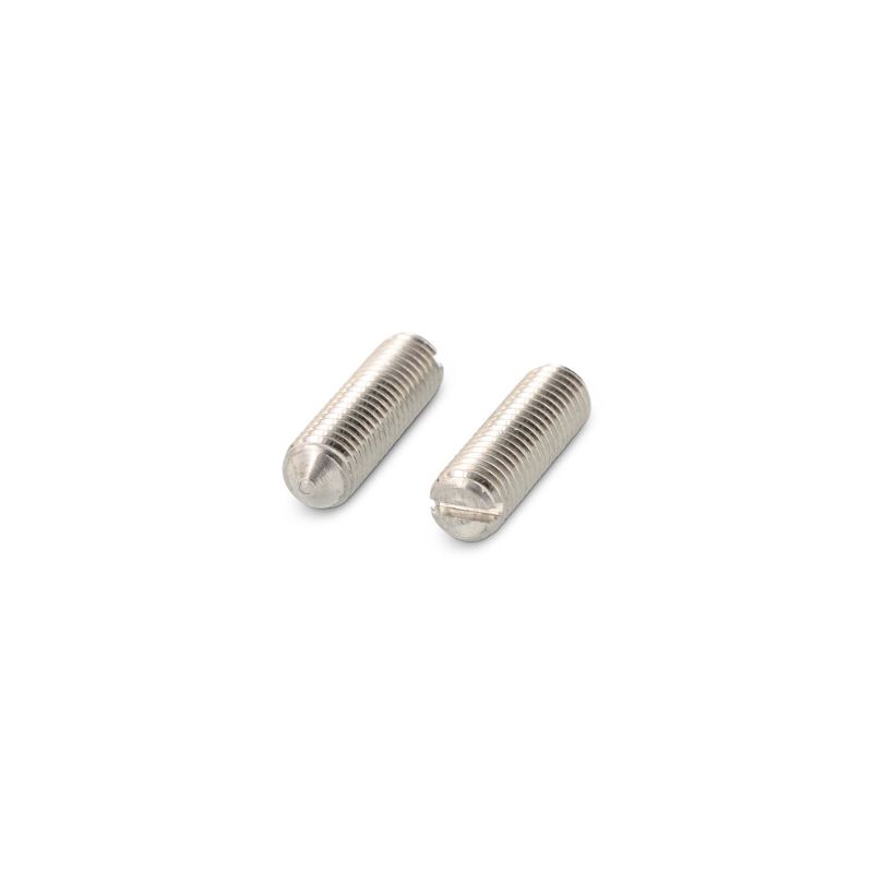 Stelschroef met sleuf en punt M8 x 10 mm DIN 553 RVS A2 (100 stuks)