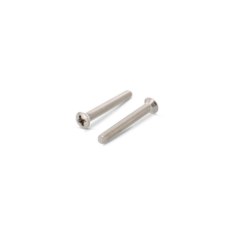 Lenskopschroef M2 x 30 mm DIN 966 RVS A4-50 PH1 (1000 stuks)