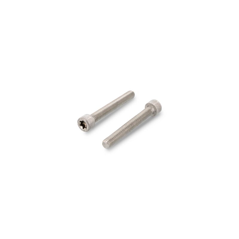 Cilinderschroef M4 x 6 mm ISO 14579 RVS A2-70 TX20 (1000 stuks)