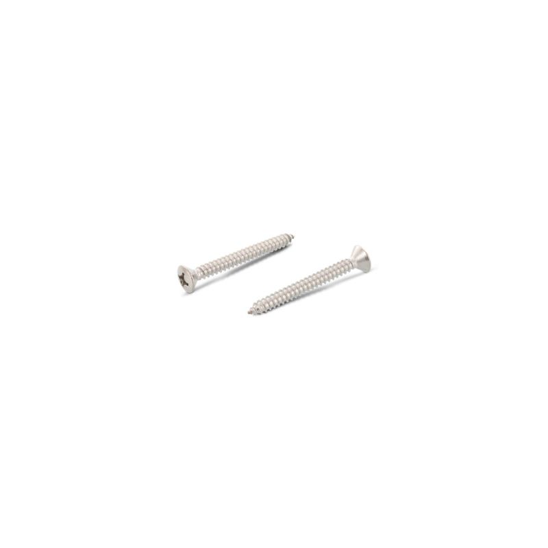 Verzonken plaatschroef met lenskop C 3,5 x 50 mm DIN 7983 RVS A4 PH2 ...