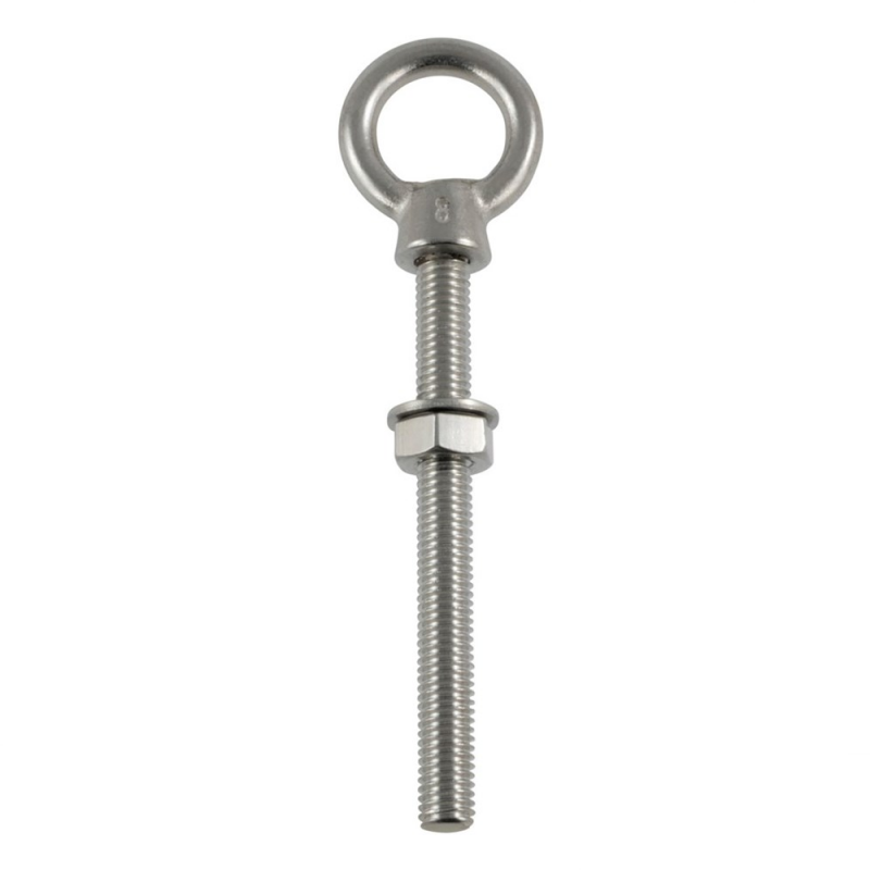 Oogbout M8 x 60 mm RVS-316