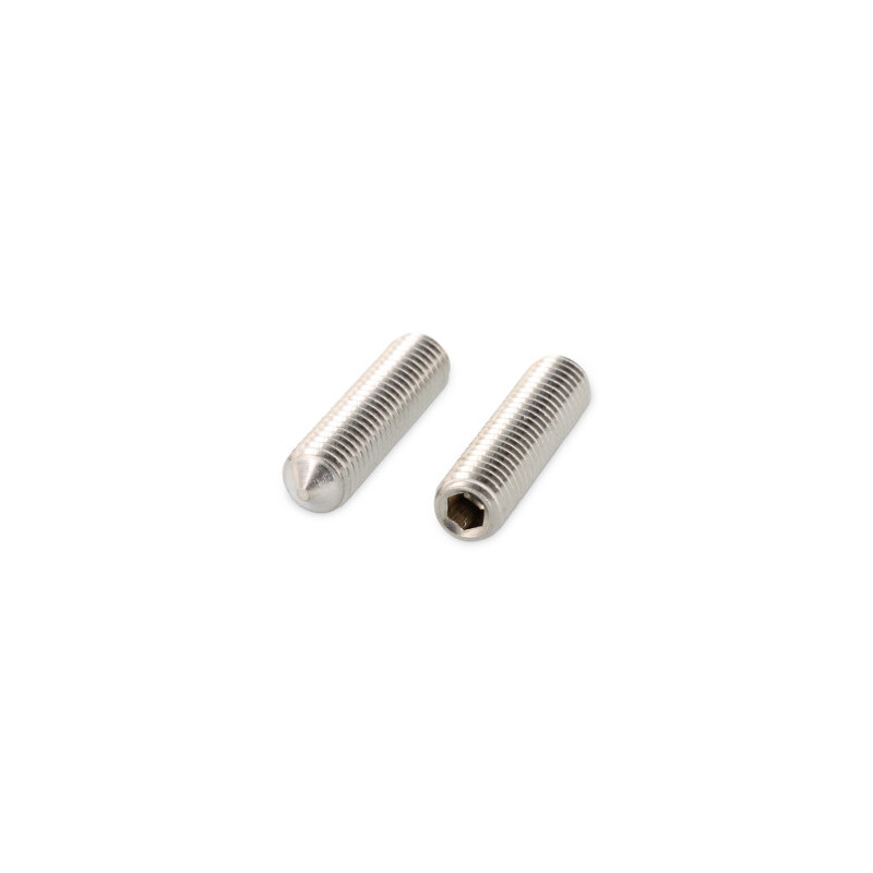 Stelschroef met punt M4 x 8 mm ISO 4027 RVS A2 SW2 (500 stuks)