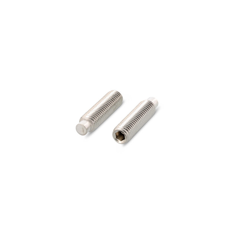 Stelschroef met nok M10 x 100 mm ISO 4028 RVS A2 SW5 (100 stuks)