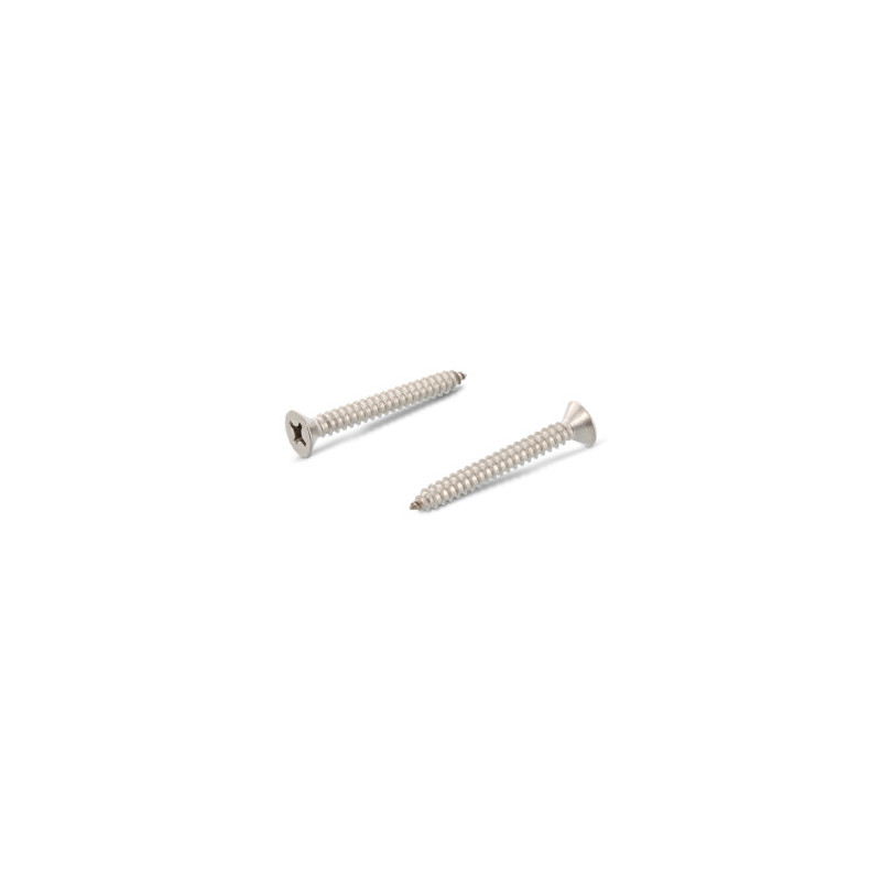 Vezonken plaatschroef C 4,2 x 38 mm DIN 7982 RVS A4 PH2 (500 stuks)