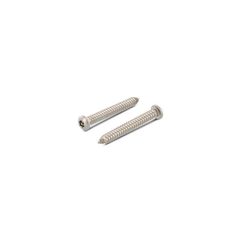 Veiligheidsschroef met pin C 4,8 x 50 mm Art. 9110 RVS A2-50 SW3 PIN ...